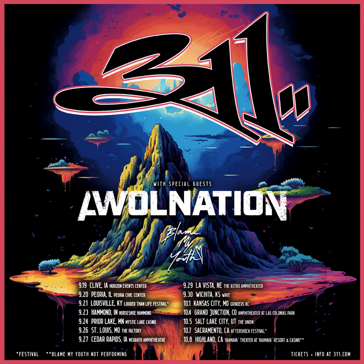311 Official website