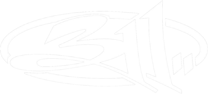 311 Official website